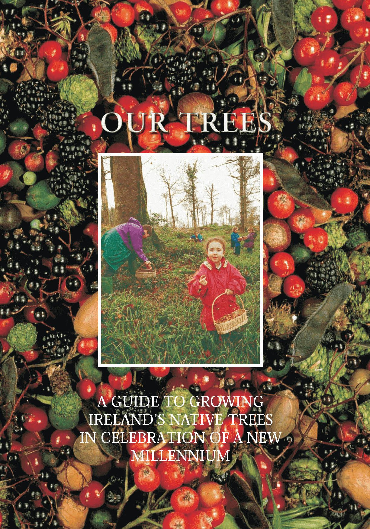 Our Trees: A Guide to Growing Ireland’s Native Trees – Woodlands of Ireland